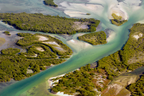 Búsqueda por región